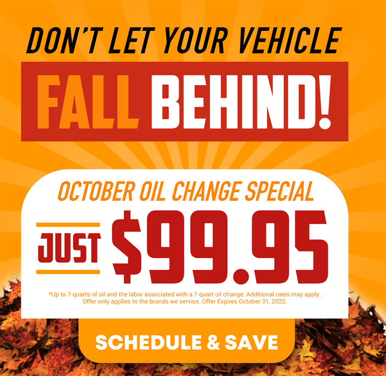 Shoreline Foreign Auto Repair - Car Tender